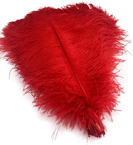 Amazon.com: Shekyeon 16-18inch Red Ostrich Feathers DIY Craft Large ...