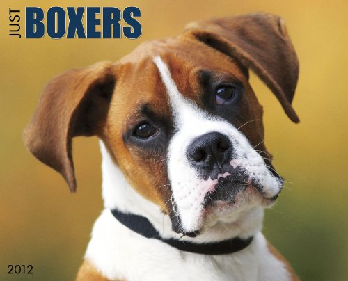 Just Boxers 2012 Calendar: Willow Creek Press: 9781607552963: Amazon ...