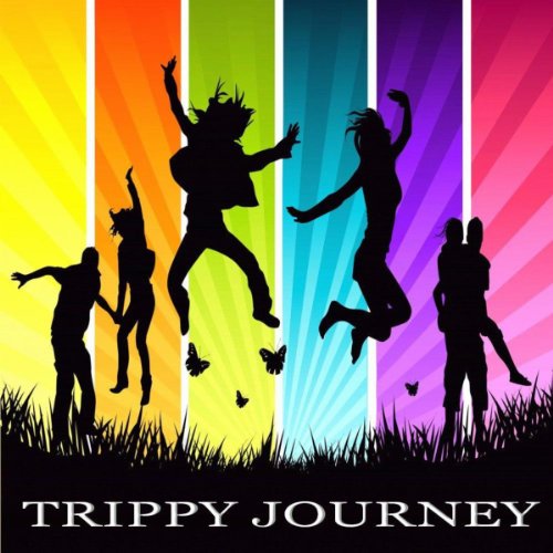 Play Trippy Journey by VARIOUS ARTISTS on Amazon Music