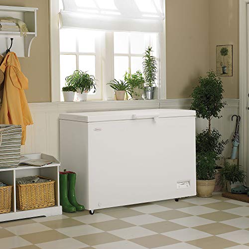 The 30 Best Freestanding Freezers of 2024 [Verified] - Cherry Picks