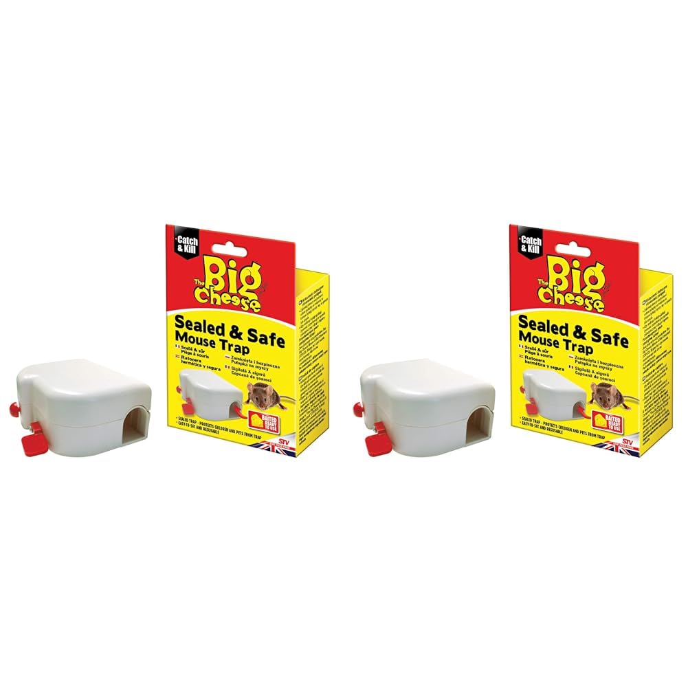 The Big Cheese Sealed and Safe Mouse Trap - Mouse Killer, Mouse Traps ...