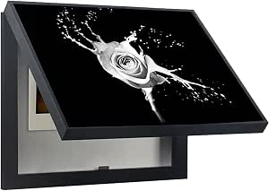 Amazon.com: Electric Meter Cover Panel, Decorative Electric Box Meter ...