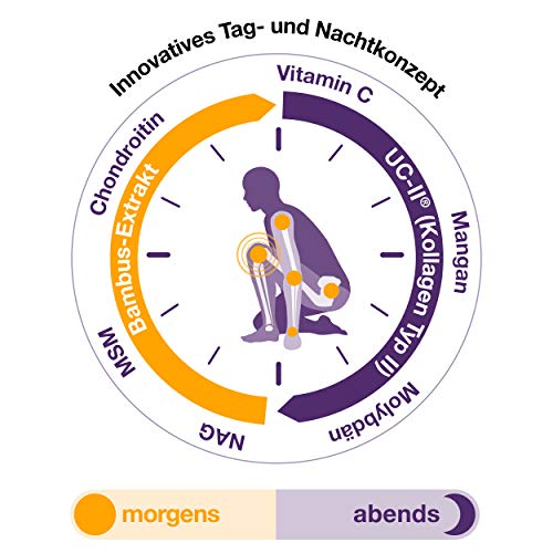 FlexiLoges Gelenknahrung Kapseln, 240 St - Apothekenmaster.de