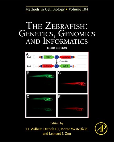 The Zebrafish: Genetics, Genomics and Informatics (ISSN Book 135) 3 ...