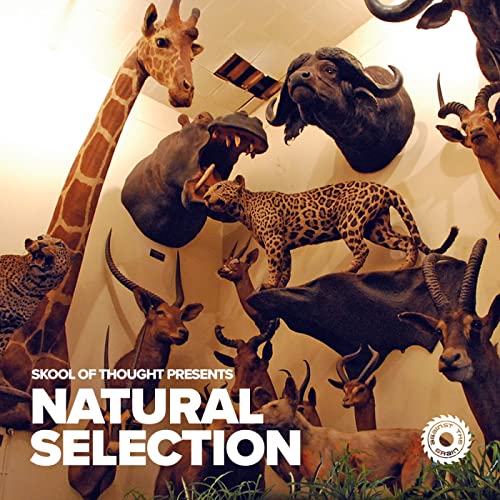 Amazon.com: Skool of Thought presents Natural Selection : VARIOUS ...