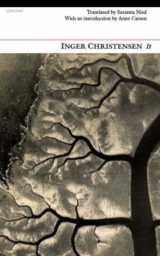 Amazon.com: it (Danish Edition): 9781857549409: Inger Christensen: Books