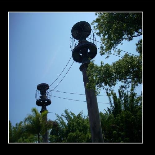 The Screamin Willies - Moon Township - Amazon.com Music