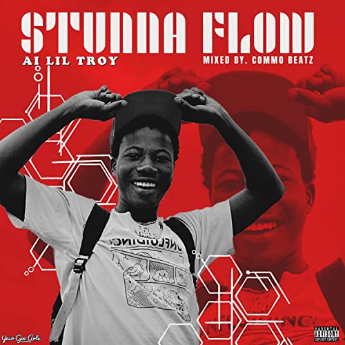 Play Stunna Flow by Ai Lil Troy on Amazon Music