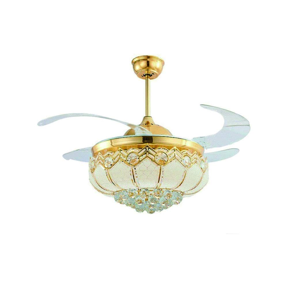 Lighting Groups 42" Retractable Ceiling Fan Lights with Remote ...