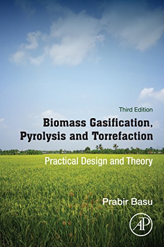 Amazon.com: Biomass Gasification, Pyrolysis and Torrefaction: Practical ...