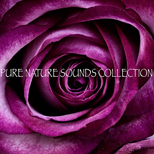 Play Pure Nature Sounds Collection by Nature Sounds on Amazon Music