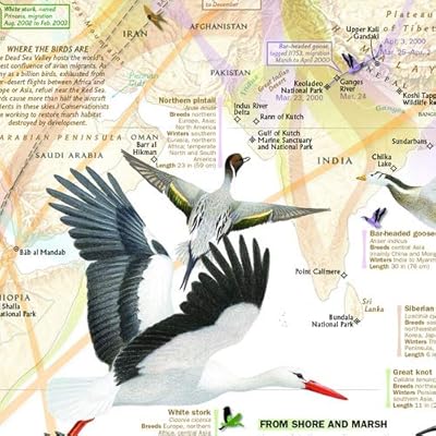 National Geographic: Bird Migration Wall Map, Philippines | Ubuy
