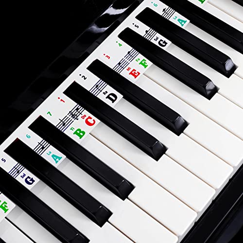 Piano Notes Guide for Beginner, Yeelua Removable Piano Keyboard Note ...