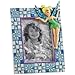 Disney Traditions Tinker Bell Photo Frame 3.5 x 5 inches : Amazon.co.uk ...