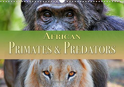 African Primates and Predators 2017: Photos of Various Monkeys and ...