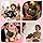 Butterfly Explosion Gift Box, Valentines 8Pcs Flying Butterflies ...