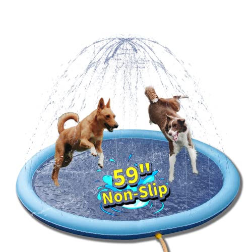 Make Your Pooch Happy This Summer with these 10 Best Dog Water Splash ...