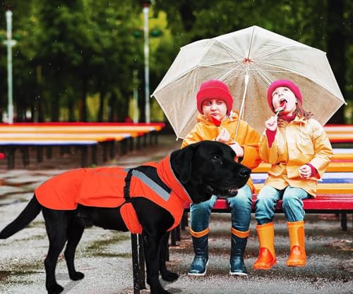 Regenschutz für Hunde – Die 16 besten Produkte im Vergleich ...