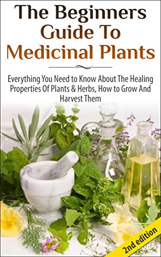 The Beginners Guide to Medicinal Plants: Everything You Need to Know ...