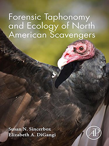 Forensic Taphonomy and Ecology of North American Scavengers - Kindle ...