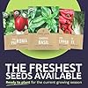 Amazon.com : Organic Italian Garden Seeds Variety Pack - 12 Individual ...
