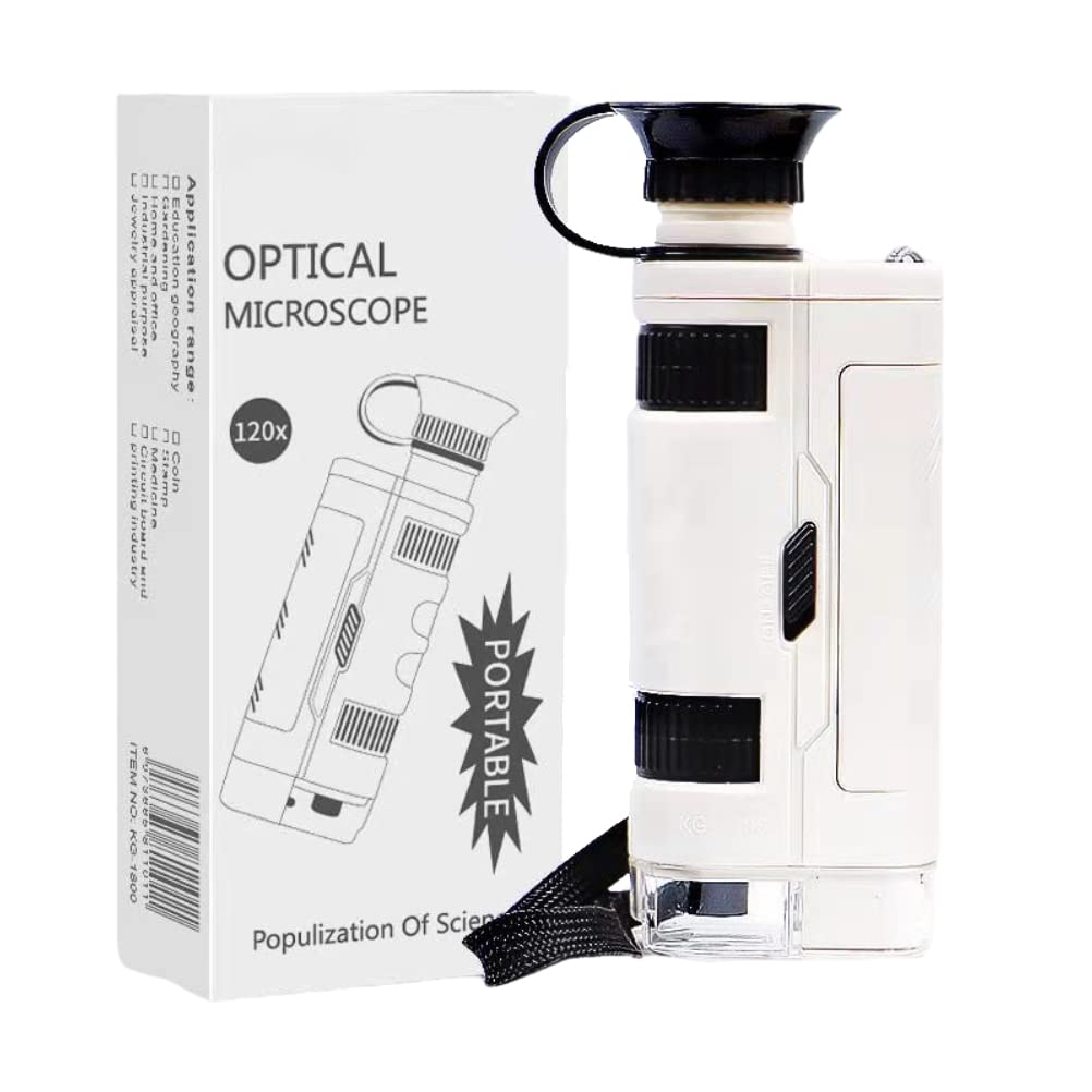 Buy Pocket Micro Kids, 80x Magnification Handheld Micro with LED Light ...