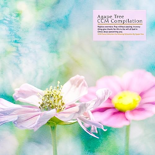 Amazon.com: CCM Piano Collection For Relaxing Relaxation By Agape Tree ...
