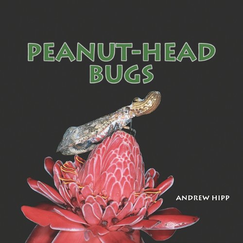 Peanut-Head Bugs : Hipp, Andrew: Amazon.in: Books