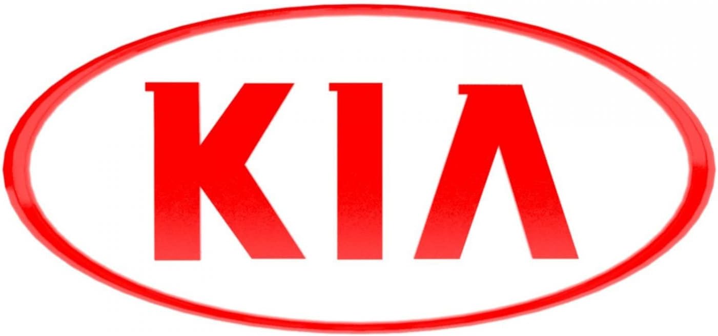 Amazon.com: KIA OEM Touch-Up Paint + Clear Coat Currant RED Color Code ...