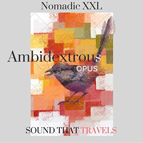 Play Ambidextrous Opus: Sound That Travels by Nomadic XXL on Amazon Music