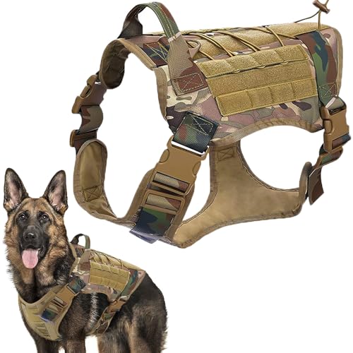 Cual Es El Mejor Collar Para Un Pastor Aleman