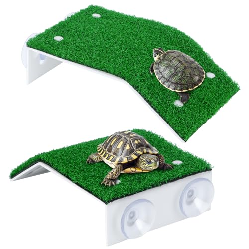 Turtle Tanks and Accessories – The 16 best products compared - wonder ...