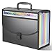 Amazon.com : 13 Pockets File Organizer with Handle,Accordion File Folders,Portable Expandable ...