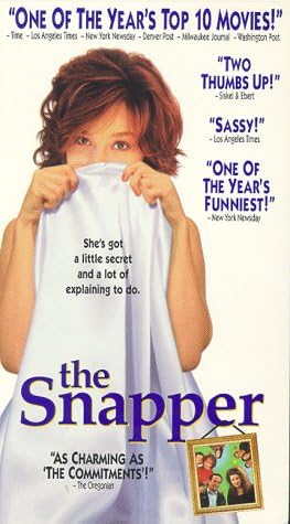 Amazon.com: The Snapper [VHS] : Colm Meaney, Tina Kellegher, Ruth ...
