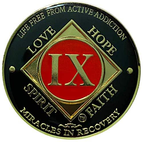 Amazon.com: NA 9 Year Gold Color Plated-Medallion, Recovery Token, NA ...
