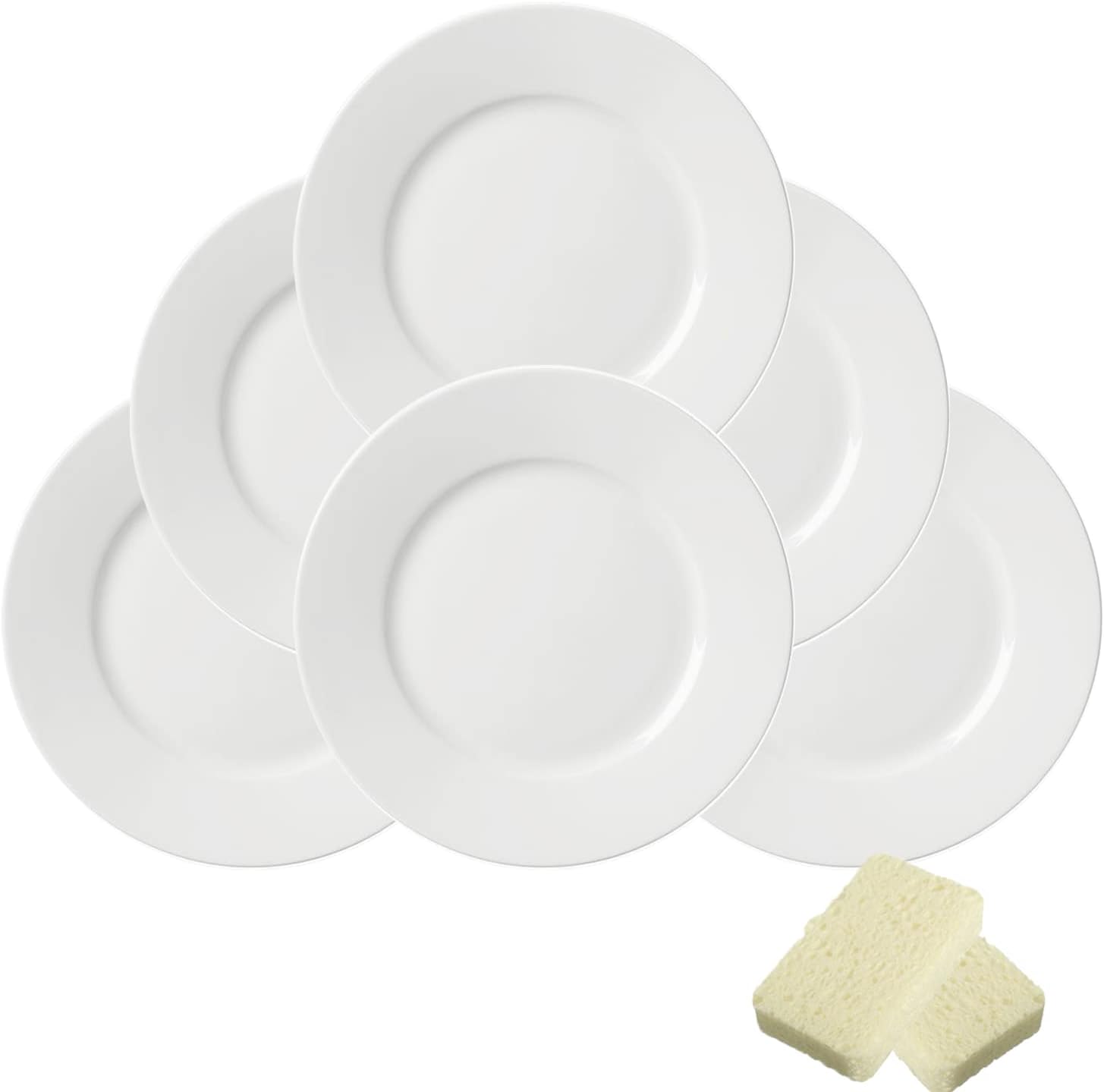 Amazon.com | ITI-DO-21 Porcelain Dover 12-Inch Plate, 12-Piece, White ...
