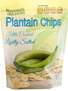 Amazon.com: Waymouth Farms Plantain Chips, Roasted with Sea Salt, 5 ...