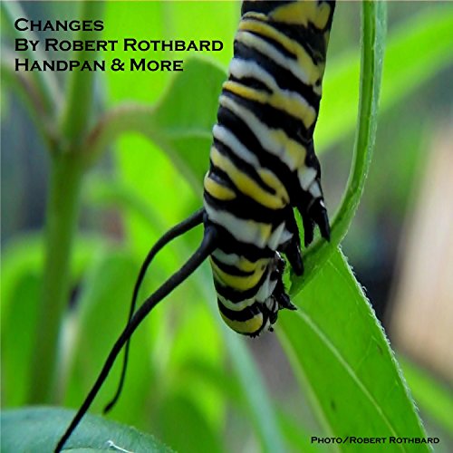 Amazon.com: Changes : Robert Rothbard: Digital Music