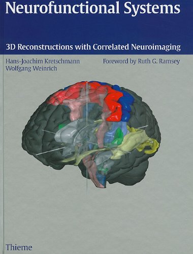 Neurofunctional Systems: 3D Reconstructions With Correlated ...