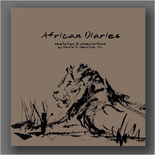 African Diaries: A Journey Through Sketches and Observations Summer ...