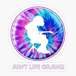 Amazon.com - decal Pack of 2 3 inches Stickers - Life Dye Wsmfp Panic ...