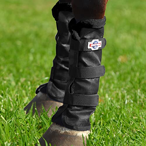 Find The Best Leg Guard For Horses Reviews & Comparison - Katynel