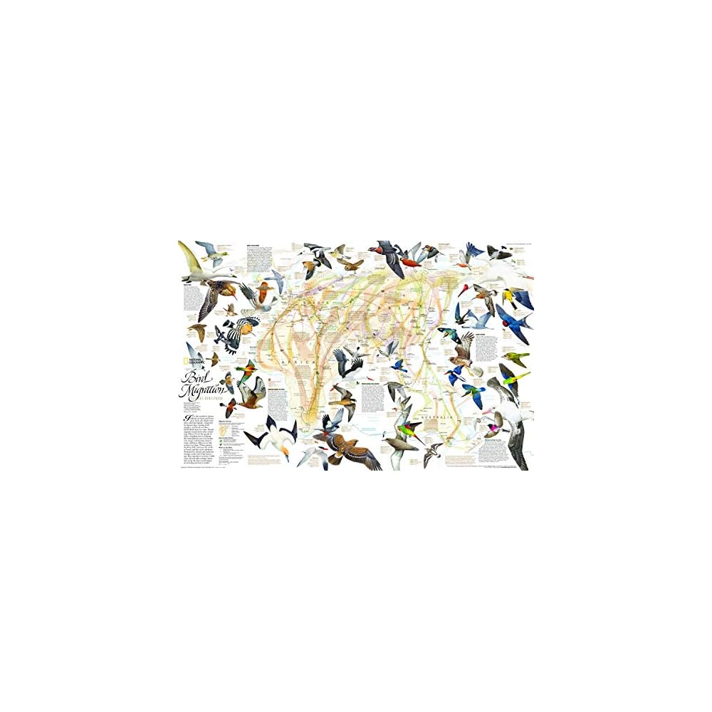 National Geographic Bird Migration Wall Map - Philippines | Ubuy