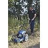 Amazon.com : Powerhorse High-Wheeled Walk-Behind String Trimmer, 173cc ...