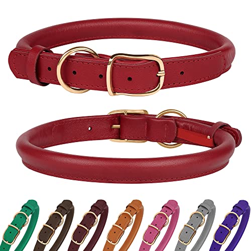 Top 10 Best Rolled Leather Dog Collar : Reviews & Buying Guide - Katynel