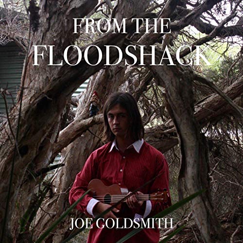 Amazon.com: From the Floodshack : Joe Goldsmith: Digital Music