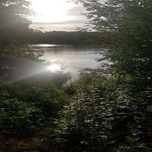 Play What Comes Next by Dave Read on Amazon Music Unlimited