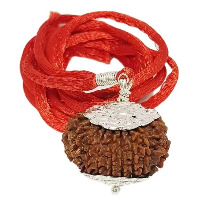 Royal Gems 21 Faced 21 Mukhi Rudraksha Original Certified Nepali Most ...