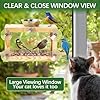 Amazon.com : CypherX Window Bird Feeders for Outdoors, Window Mounted ...