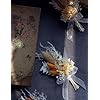 Amazon.com: xin's convey Mini Dried Flower Set (Pack of 6), Orange ...